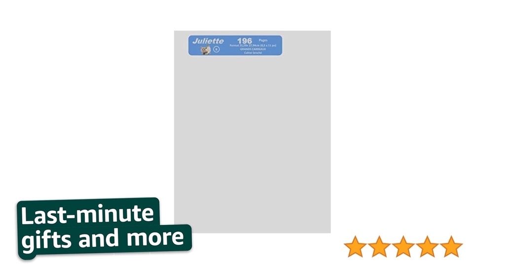 Séyès notebook: large squares notebook 196 large format pages 21 x 29.7 ...