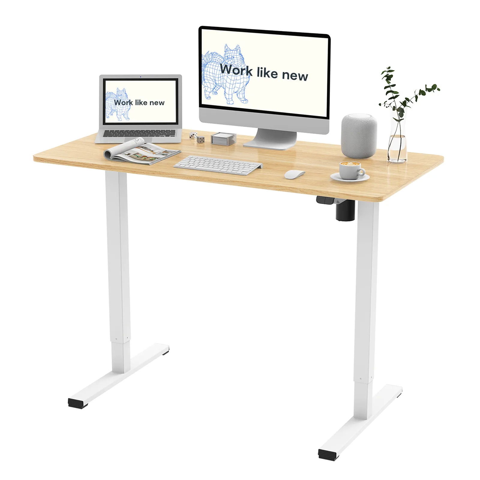 FlexiSpot Whole-Piece Electric Height Adjustable Standing Desk Home ...