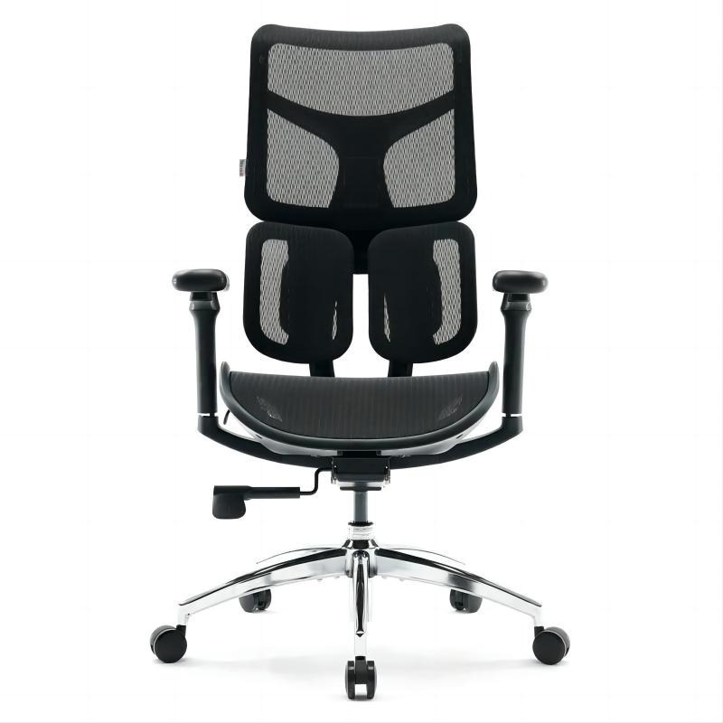 Sihoo Doro S100 Ergonomic Office Chair with Dual Dynamic Lumbar Support ...