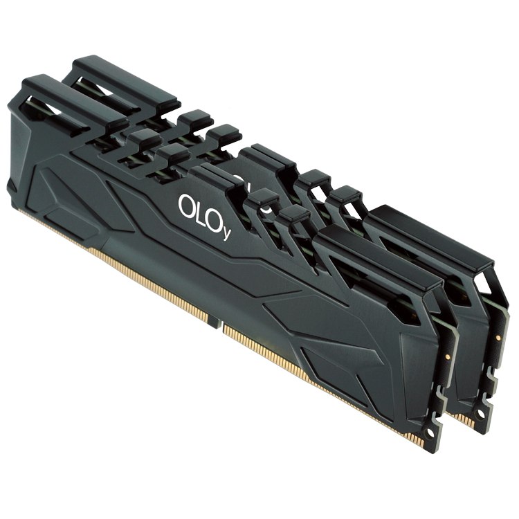 OLOy Owl DDR4 32GB Kit (2x16GB) 3600MHz CL18 Desktop Memory (Black ...