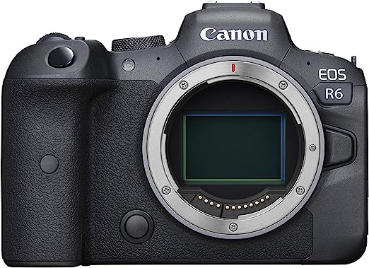 Canon EOS R6 Full-Frame Mirrorless Camera (Body Only)
