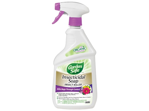 6-Pack 24-oz. Garden Safe Insecticidal Soap Insect Killer $20 + Free ...