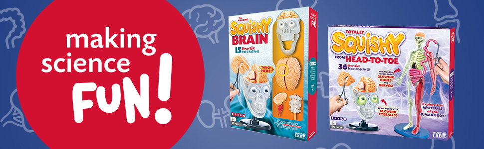 SmartLab Toys Squishy Human Body with 21 Removable Body Parts with ...