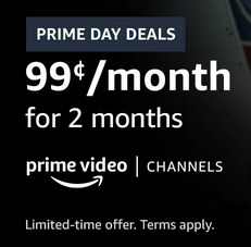 Prime Members: 2-Month Streaming Services: Britbox, Starz, Cinemax & More
