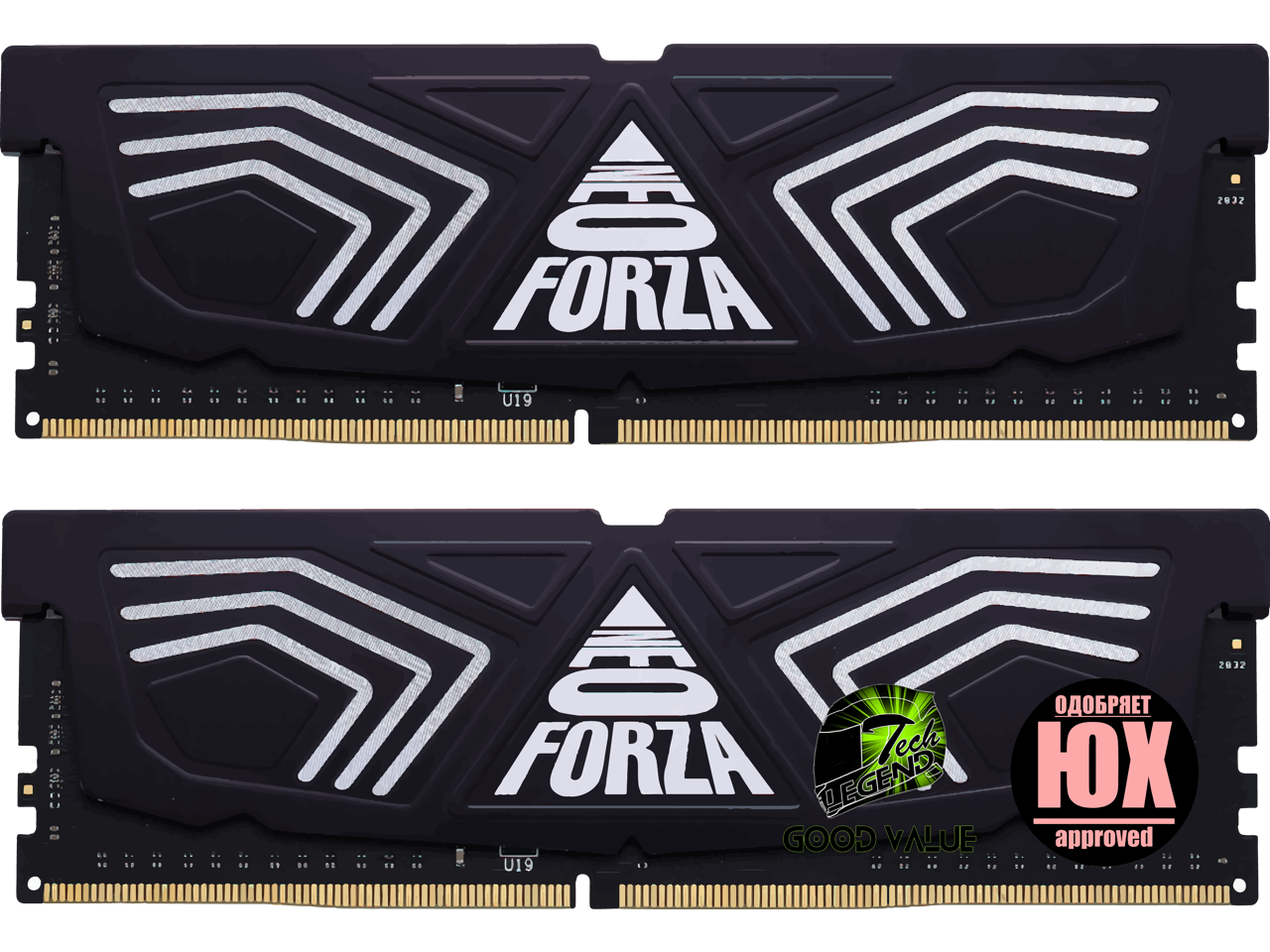 Neo Forza Faye 32GB (2 x 16GB) 288-Pin DDR4 SDRAM DDR4 3600 Memory (PC4 ...